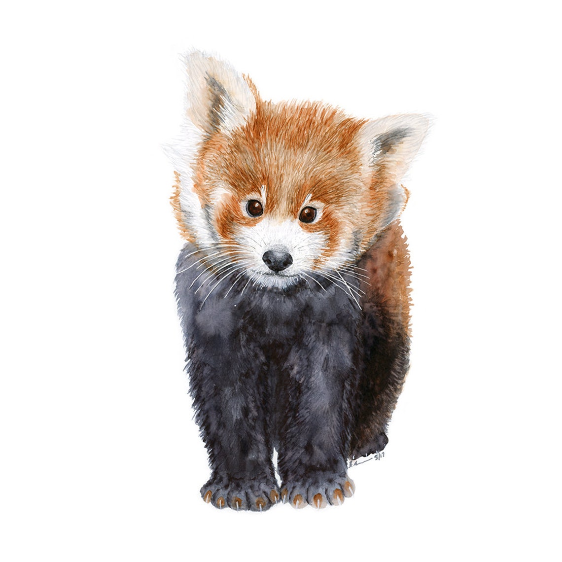 Animal Prints for Nursery Baby Animals Print Set Cute Animal - Etsy