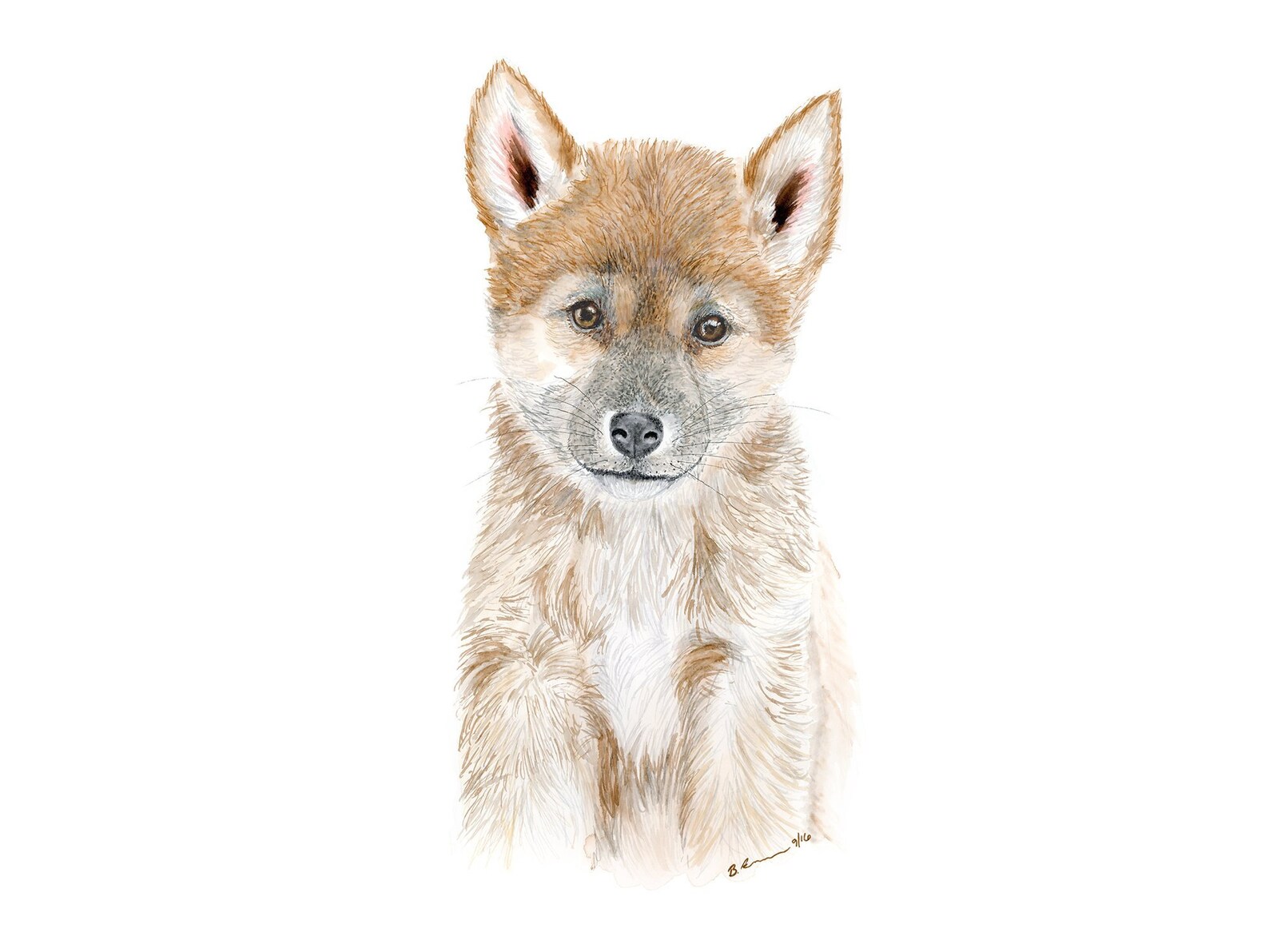 Baby Dingo Art Australian Nursery Print Baby Animal Print - Etsy