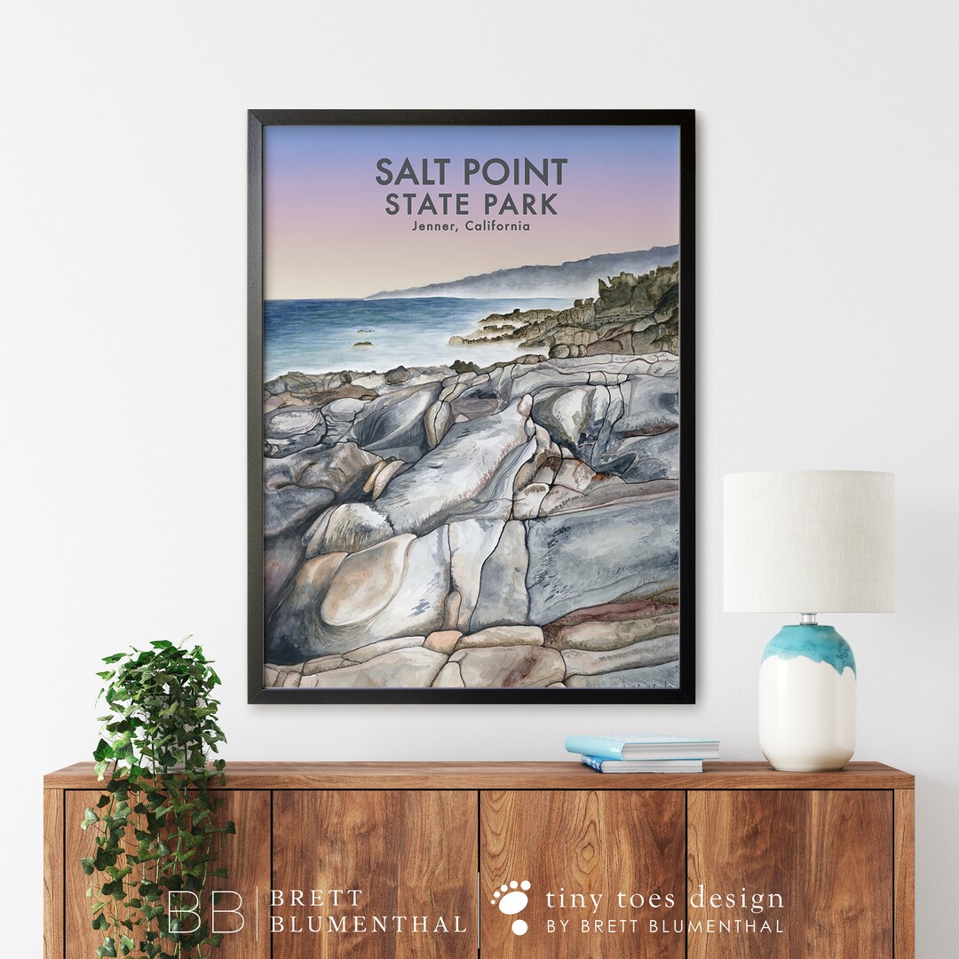 Salt Point State Park Travel Poster, State Park Print, California ...