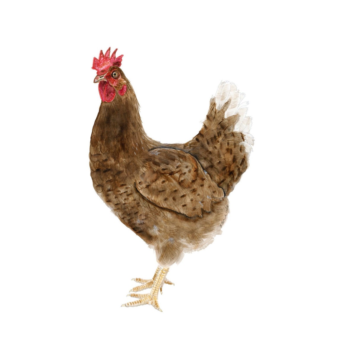 Chicken Watercolor Farm Animal Print Housewarming Gift Pet | Etsy