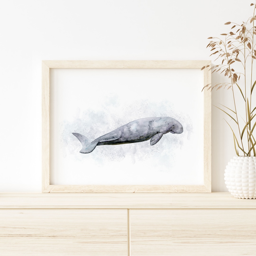 Dugong Watercolor Art, Ocean Animal Decor, Dugong Wall Art, Ocean ...