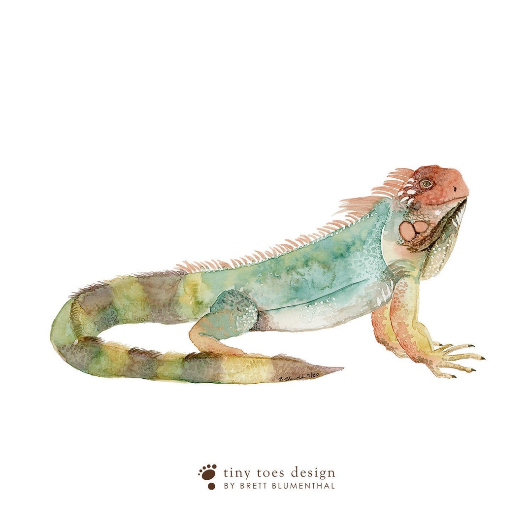 Iguana Watercolor Print Jungle Nursery Art Rainforest Animal - Etsy