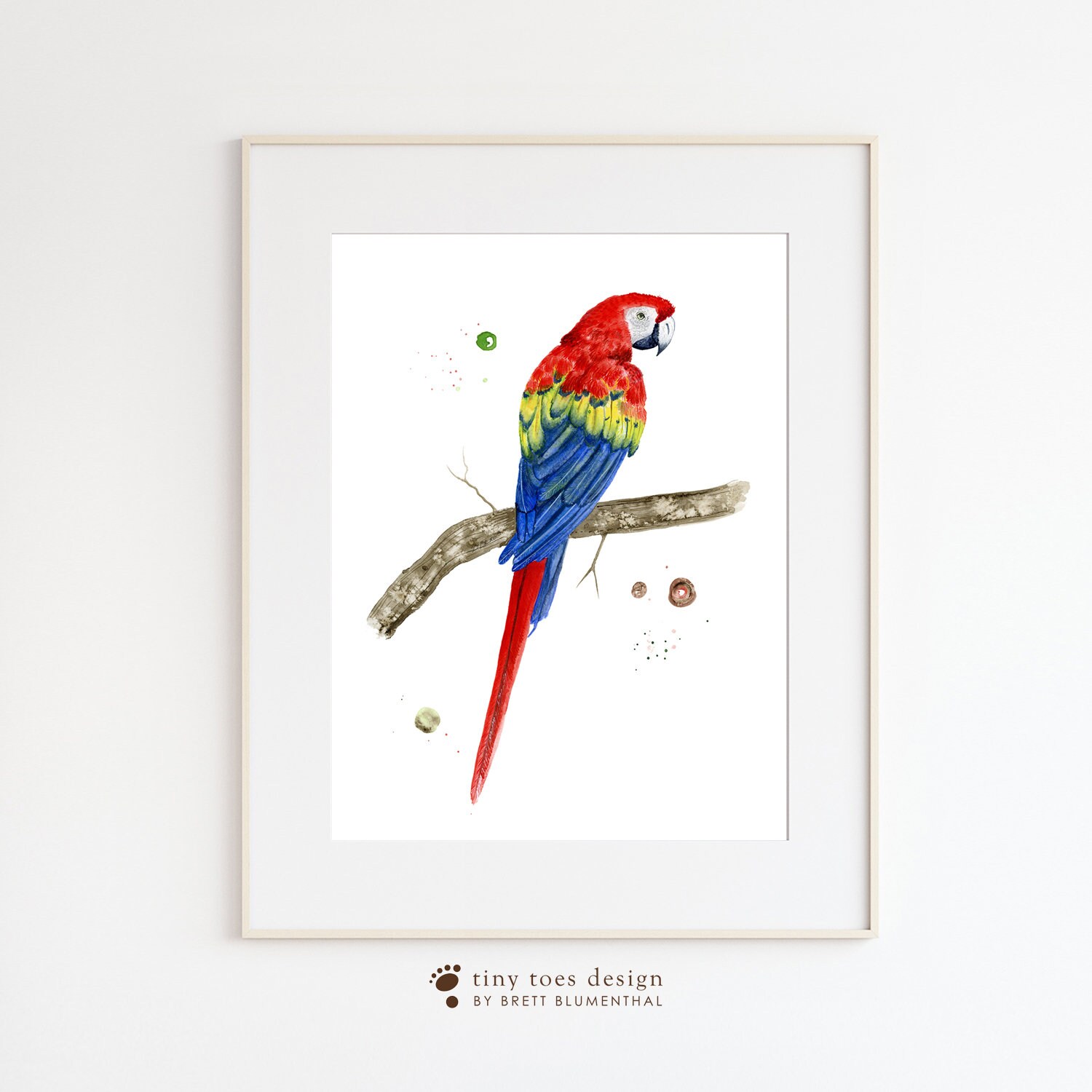 Scarlet Macaw Watercolor, Parrot Art Print, Tropical Bird Painting ...