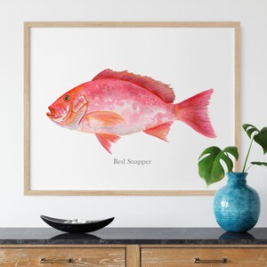 Red Snapper Wall Art, Red Snapper Print, Fish Watercolor, Gift for ...