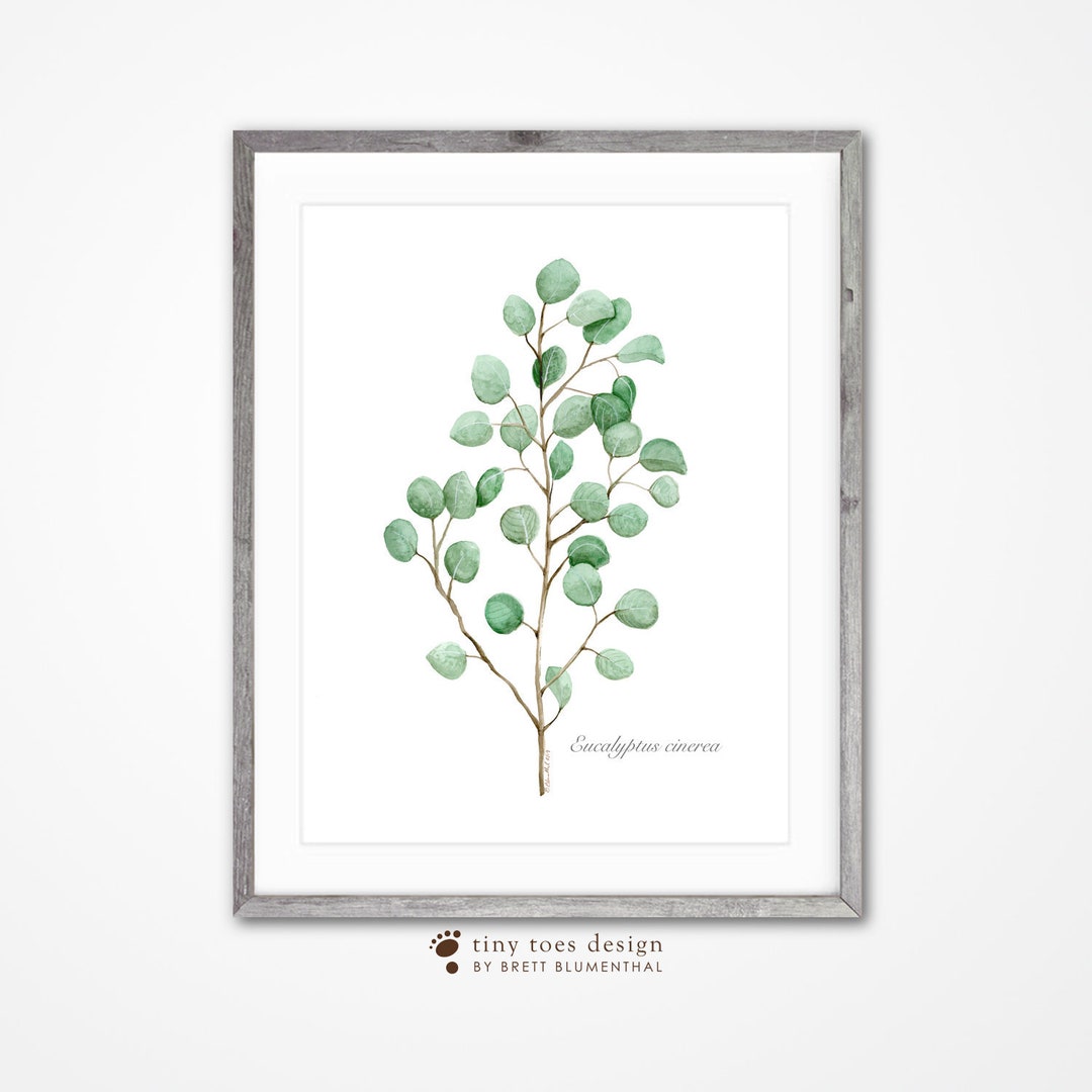 Eucalyptus Watercolor Print Botanical Poster Scientific - Etsy