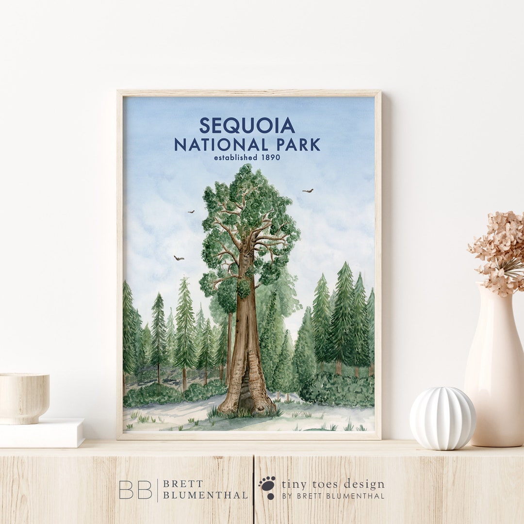 Sequoia National Park Poster, California Decor, Sequoia Tree Travel ...