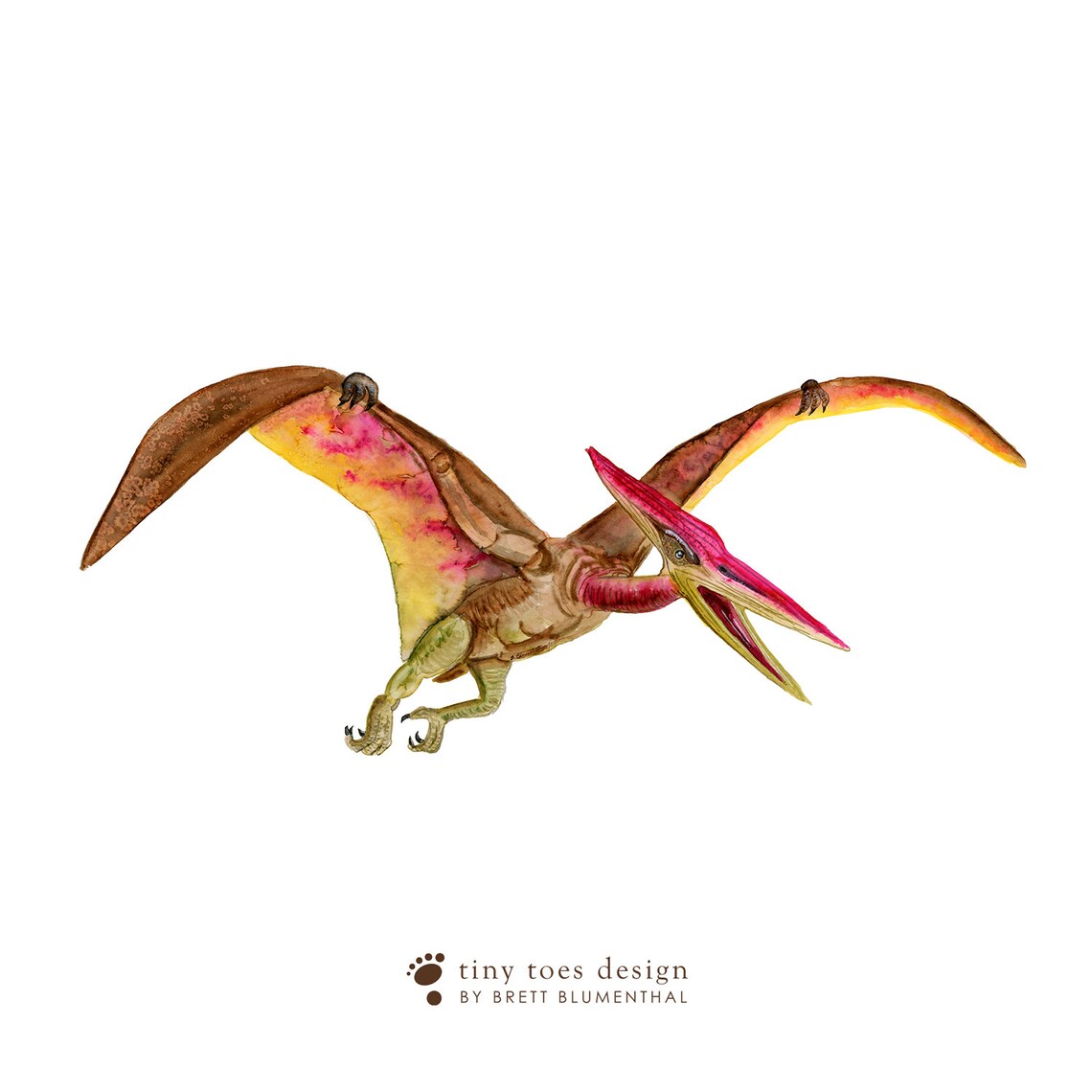 Pteranodon Print Dinosaur Wall Art Pterodactyl Watercolor | Etsy