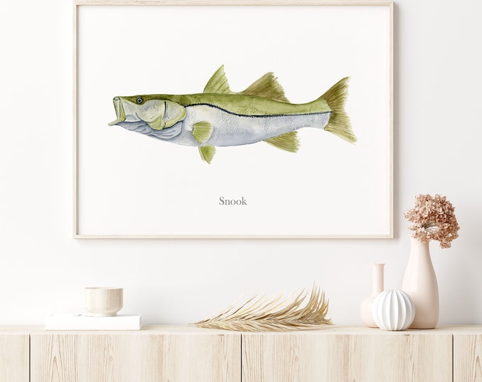 Snook - Etsy
