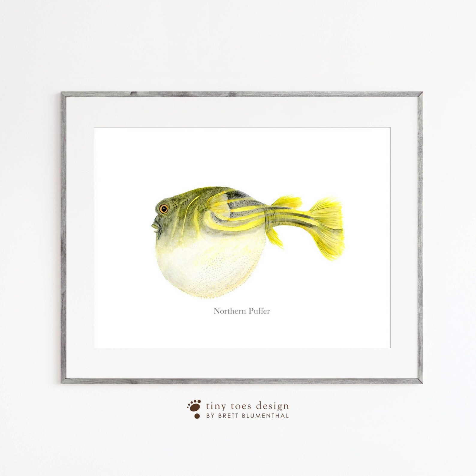 Puffer Fish Print Watercolor Fish Pufferfish Kitchen Decor - Etsy