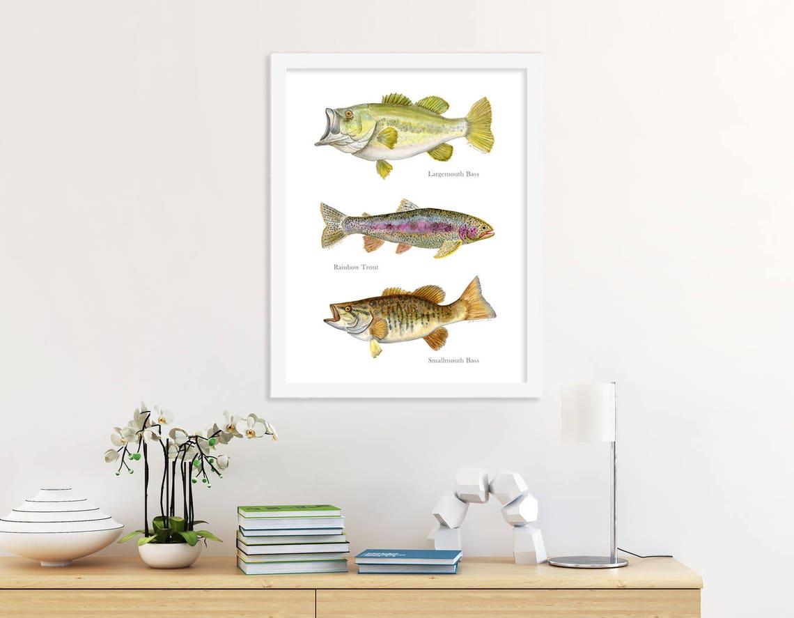 Lake Decor Smallmouth Bass Fish Watercolor Fishing Art Fly | Etsy
