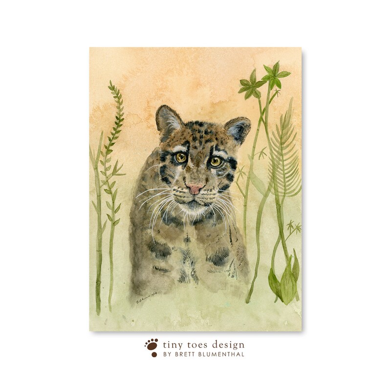 Clouded Leopard Watercolor, Big Cat Art Print, Jungle Animal Art ...