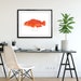Red Watercolor Fish Red Grouper Fish Painting Grouper Fish - Etsy