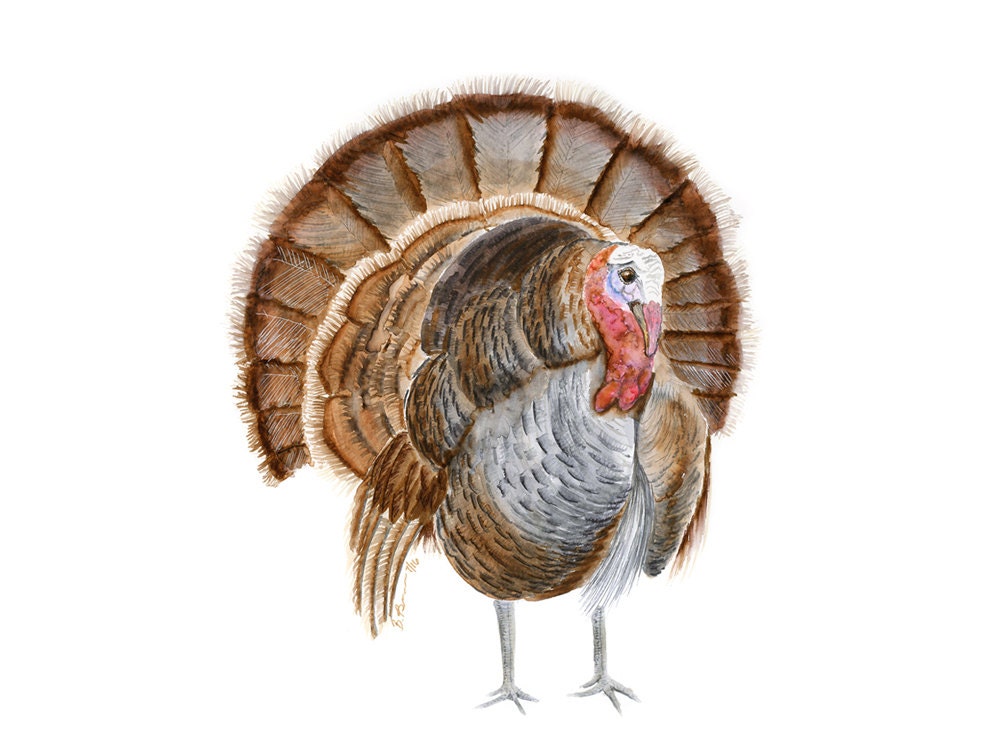Turkey Painting Thanksgiving Art Print Kitchen Decor | Etsy
