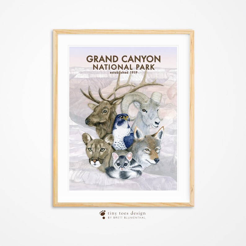Grand Canyon National Park Poster Desert Wildlife Art Print | Etsy