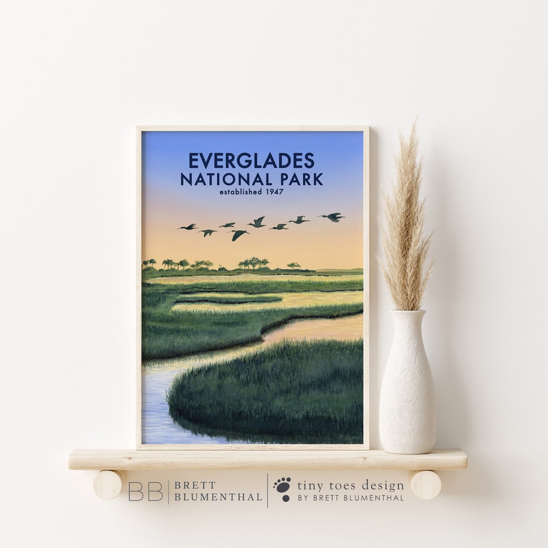 Everglades National Park Print, Florida National Park Poster, Travel ...