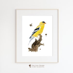 American Goldfinch Watercolor, Iowa State Bird, Eastern Goldfinch Print ...