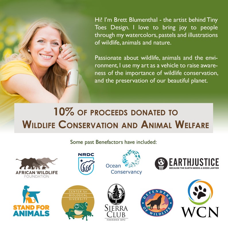 Salt Point State Park Travel Poster State Park Print - Etsy