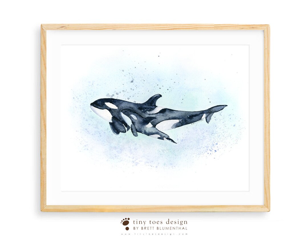 Killer Whale Orca Whale Print Ocean Nursery Art Animal - Etsy