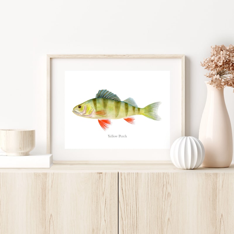 Fish Watercolor - Etsy