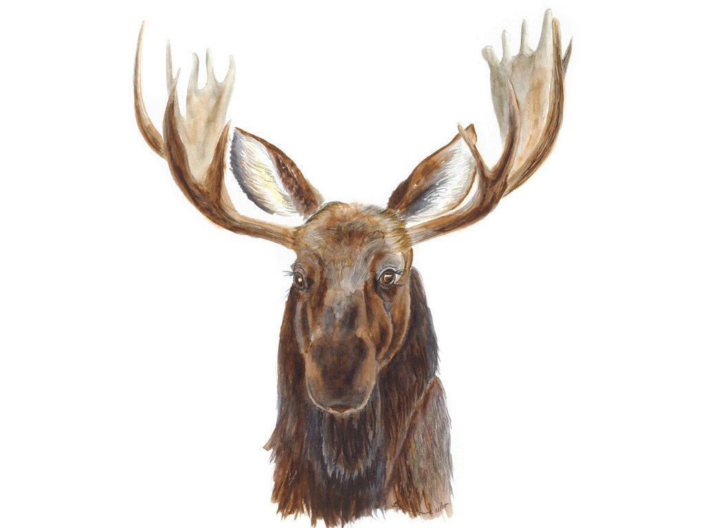 Moose Decor Woodland Nursery Moose Painting Woodland Animal | Etsy