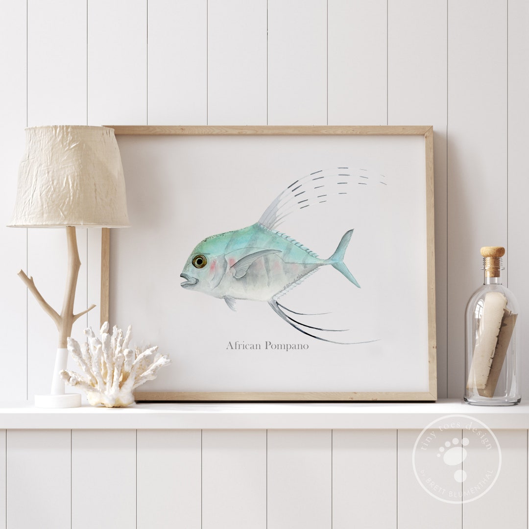African Pompano Watercolor, Florida Fish Painting, Pompano Fish Mount ...
