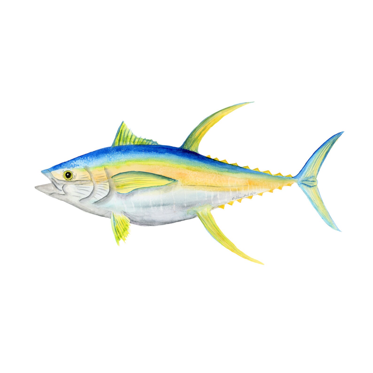 Fish Print Set, Fishing Art Prints, Fish Watercolors, Gifts for Men ...