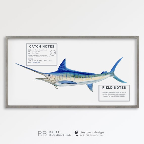 Marlin Fishing Art