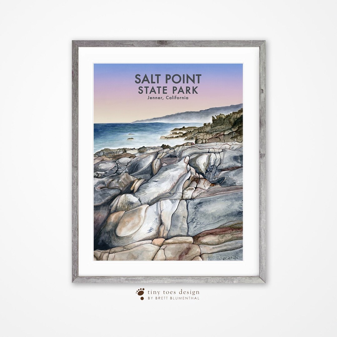 Salt Point State Park Travel Poster State Park Print - Etsy