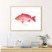 Red Snapper Wall Art Red Snapper Print Fish Watercolor Gift - Etsy