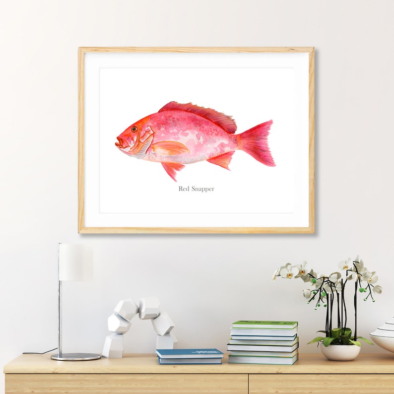 Red Snapper Wall Art Red Snapper Print Fish Watercolor Gift - Etsy UK