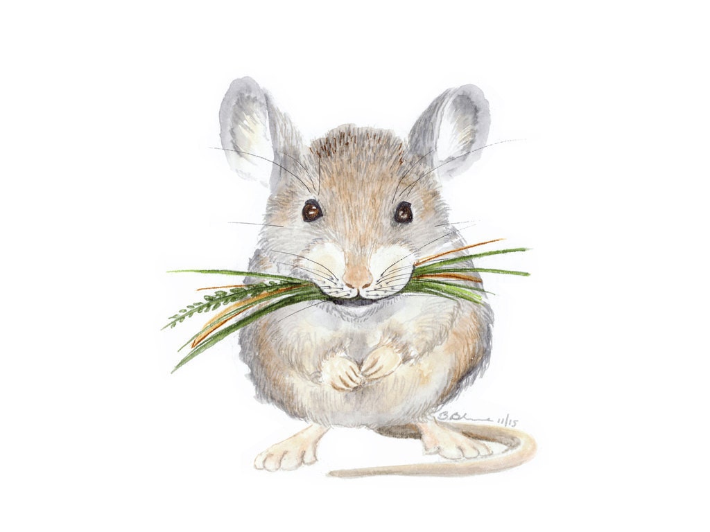 Baby-Maus-Kunst Wald Tier Druck Maus Aquarell Wald | Etsy