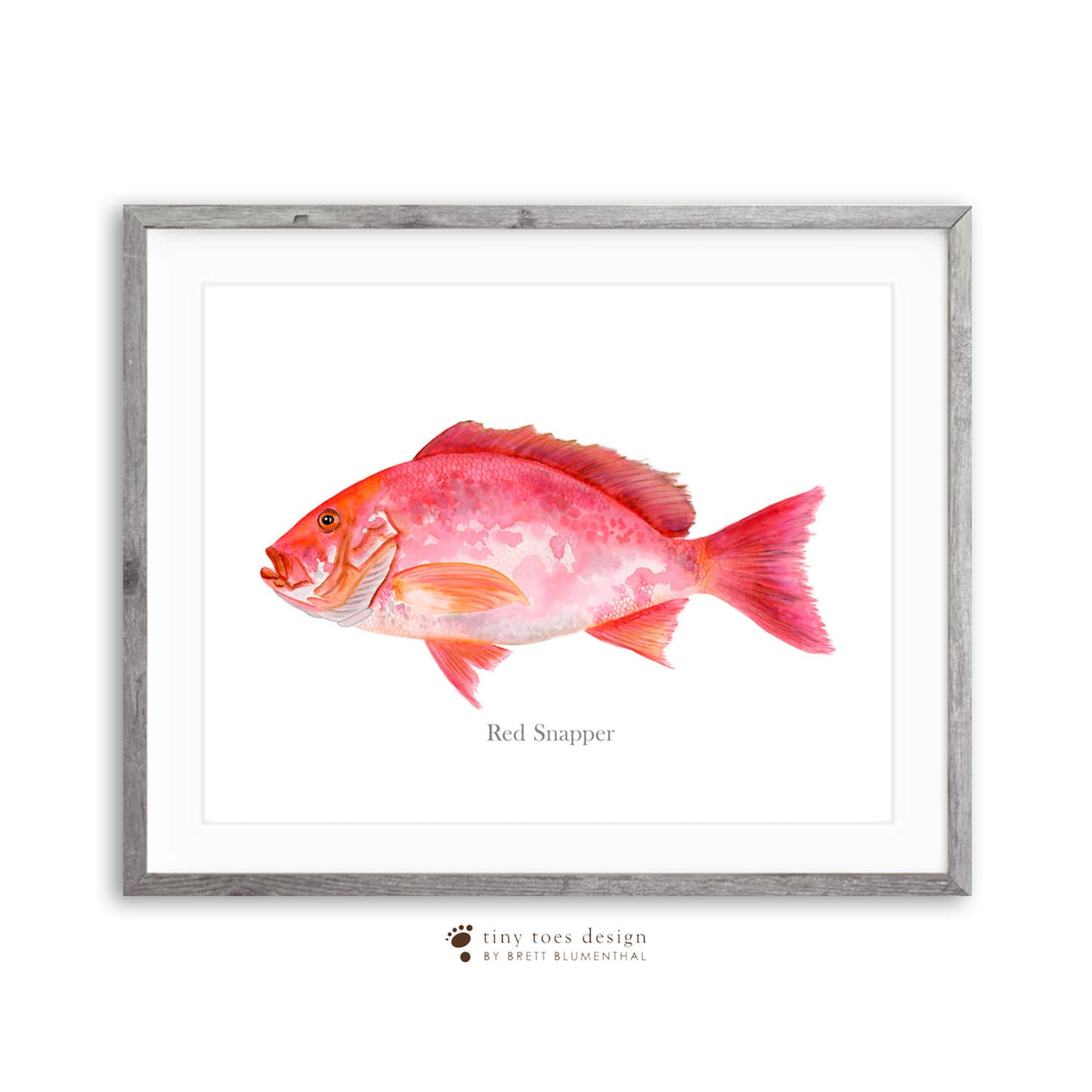 Red Snapper Wall Art, Red Snapper Print, Fish Watercolor, Gift for ...