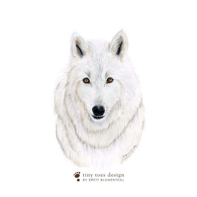 Arctic Wolf Painting Wolf Nursery Art Alaskan Wildlife - Etsy