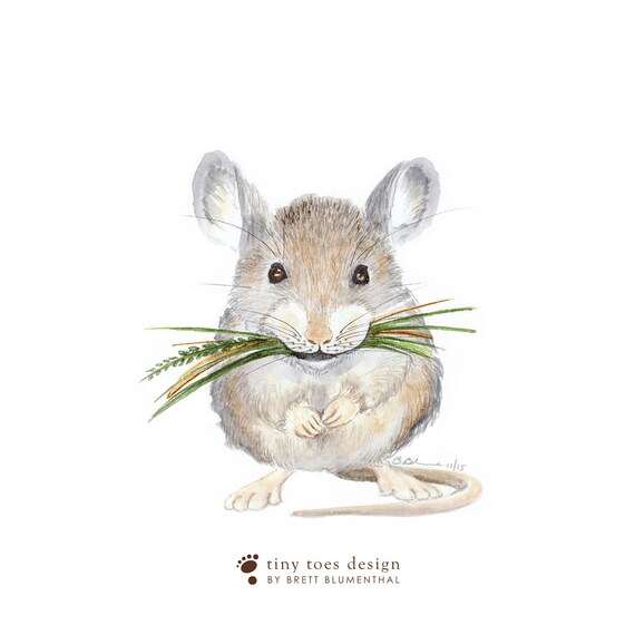Baby Mouse Art Woodland Animal Print Mouse Watercolor - Etsy