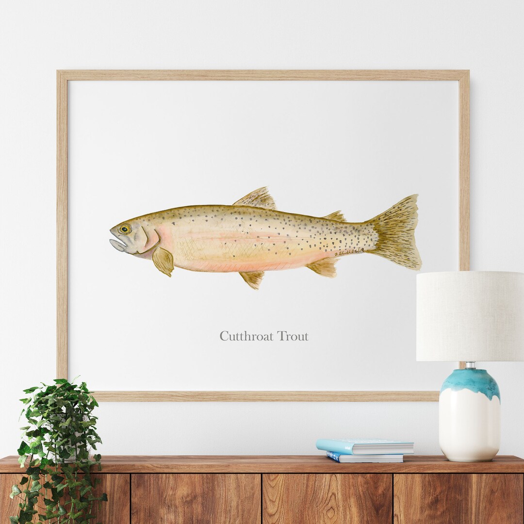 Trout Art Print, Cutthroat Watercolor Painting, Realistic Fish Wall Art ...
