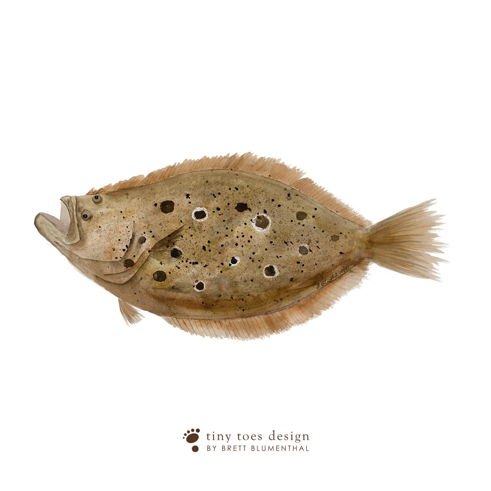 Flounder Wall Art Flatfish Print Summer Flounder Watercolor - Etsy