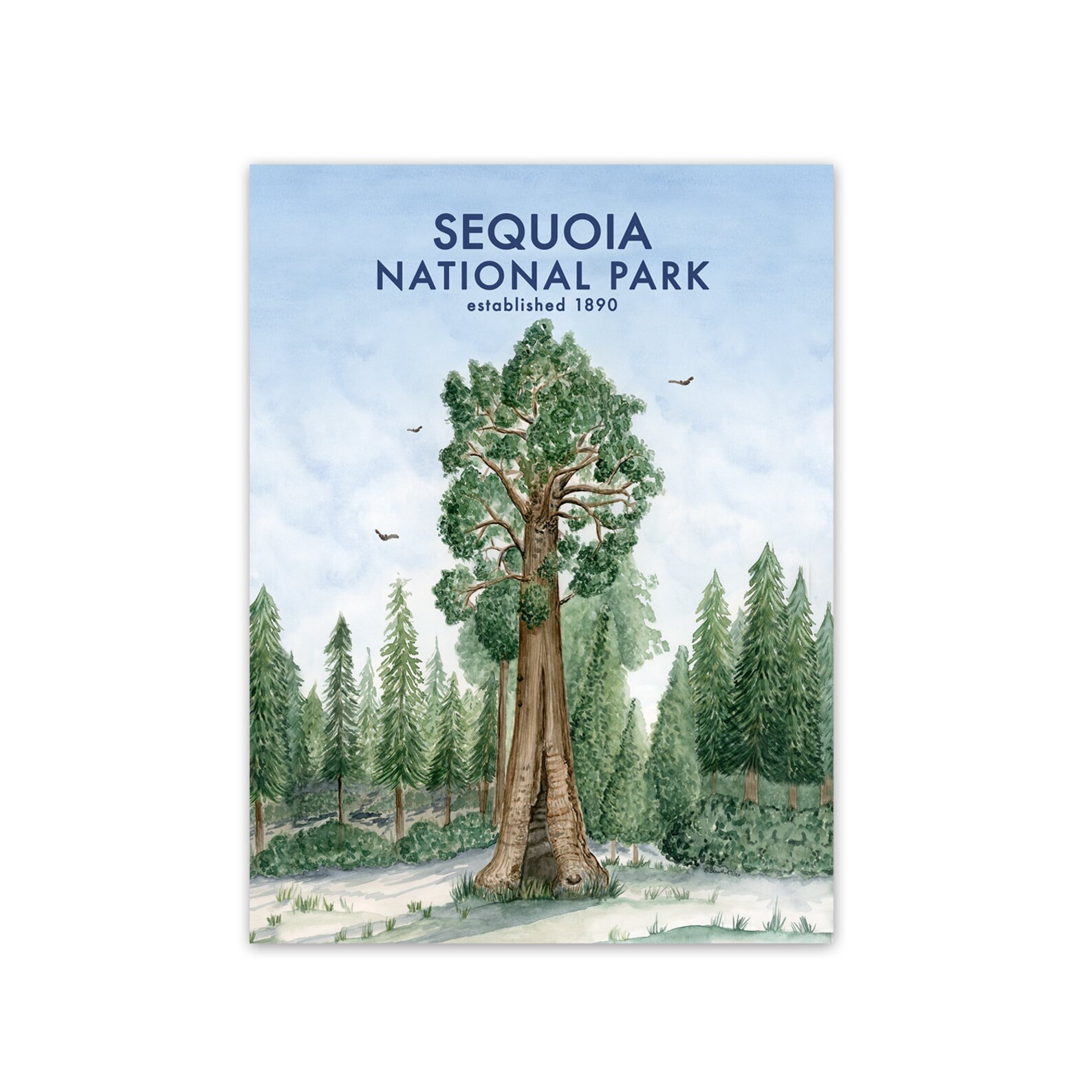 Sequoia National Park Poster California Decor Sequoia Tree | Etsy