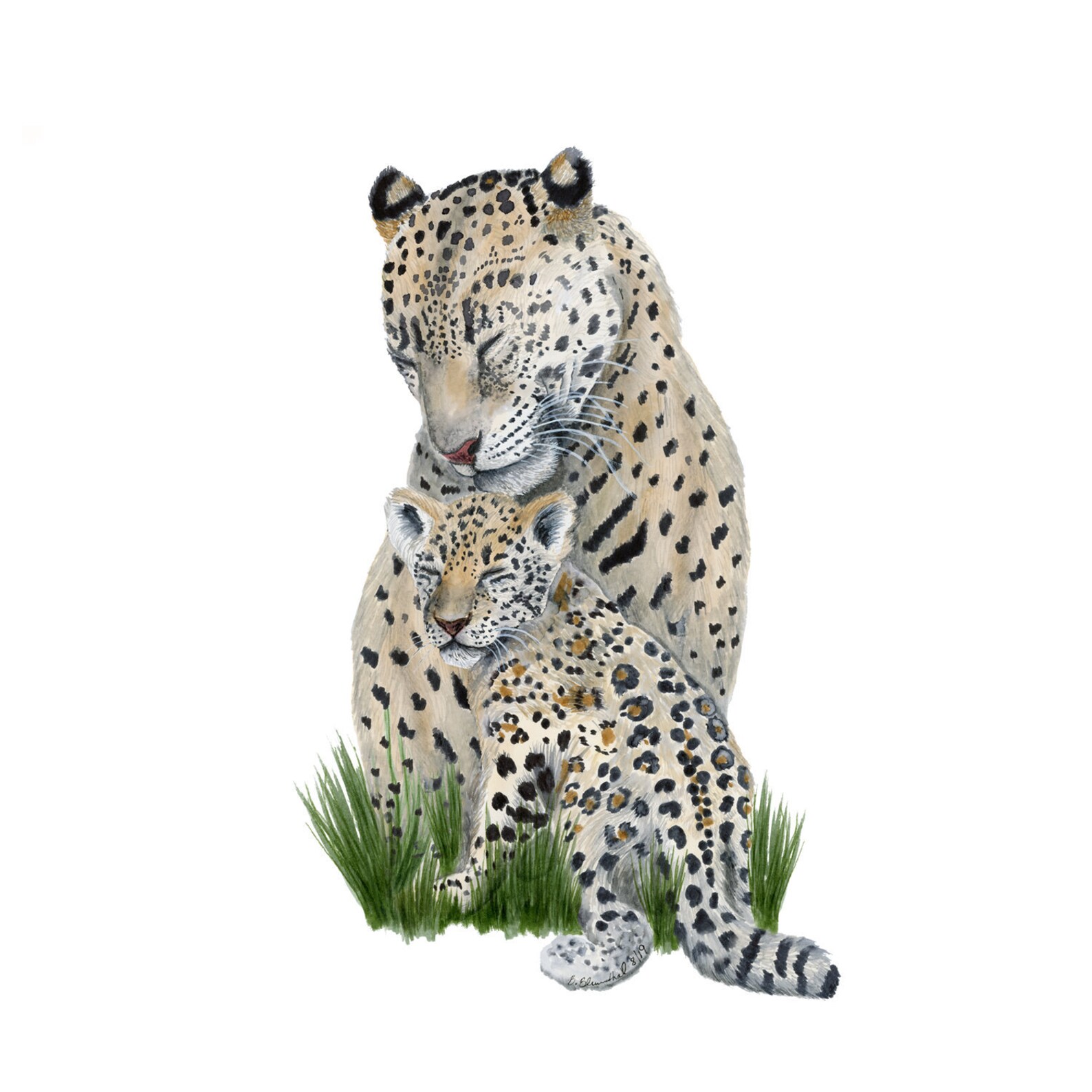 Jaguar Print, Big Cat Jungle Nursery Print, Jaguar Watercolor, Mom and ...