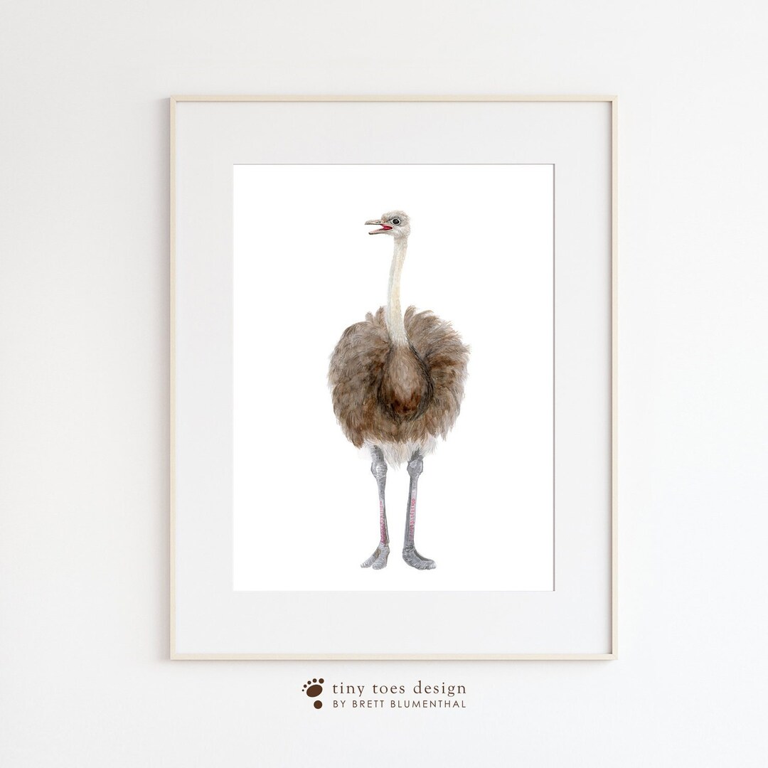 Ostrich Art Ostrich Nursery Print Safari Nursery Decor - Etsy