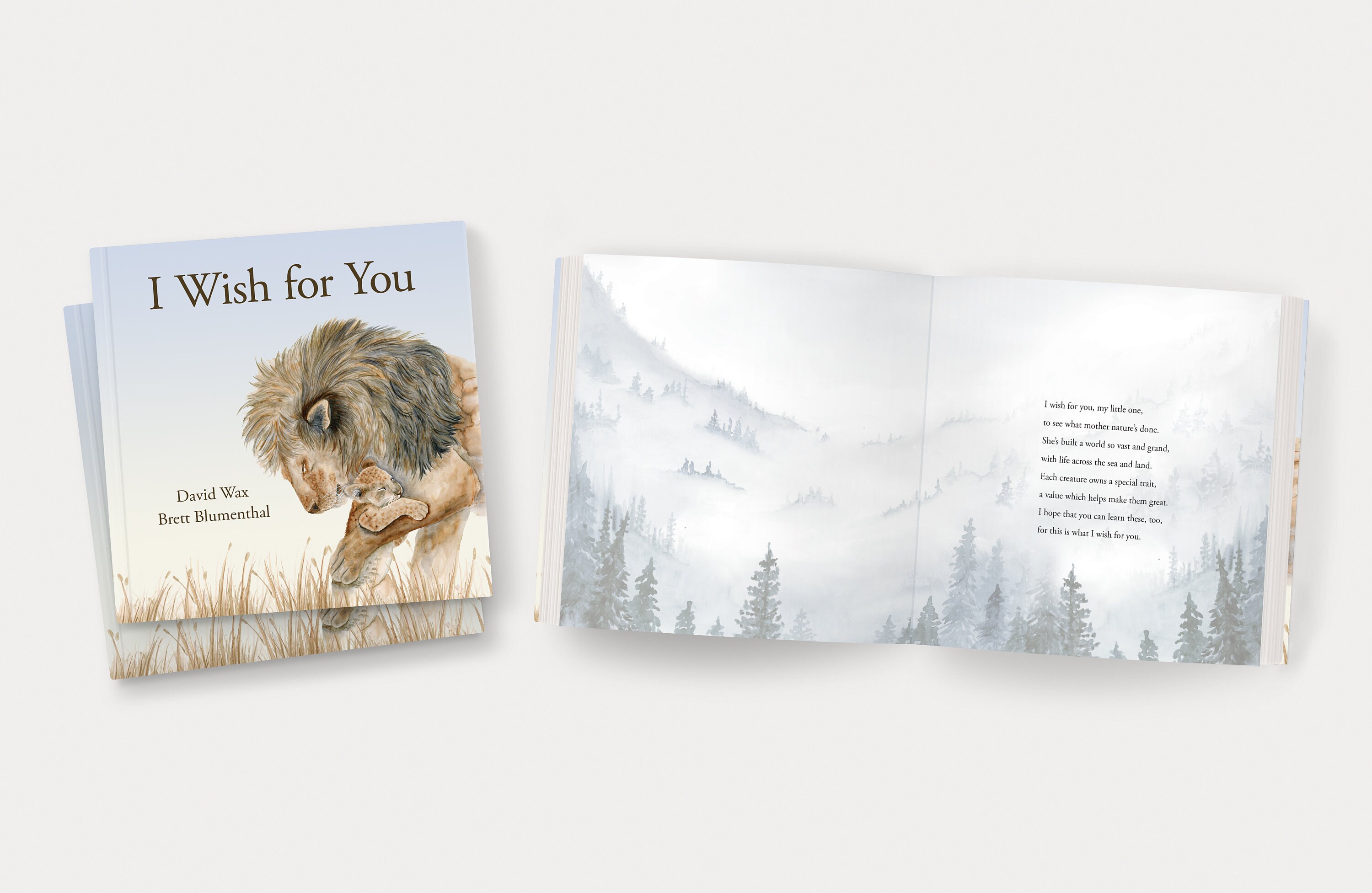 Children's Book Baby Gift Animal Book Mom-to-Be Gift | Etsy