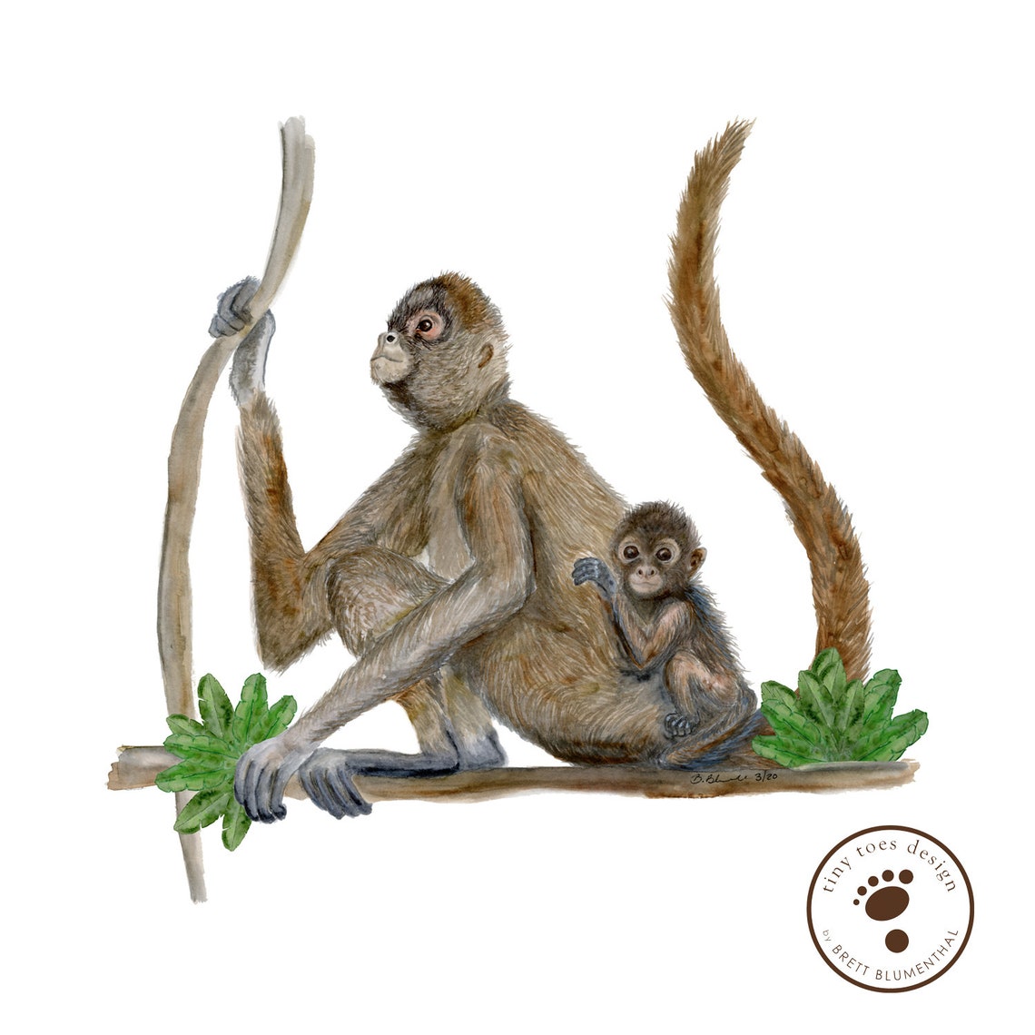 Monkey Nursery Print Spider Monkey Painting Jungle Nursery | Etsy