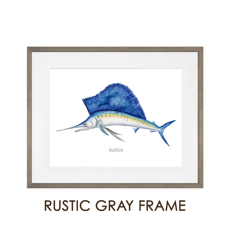 Framed Fish Prints Fish Print Wall Art Watercolor Fish - Etsy