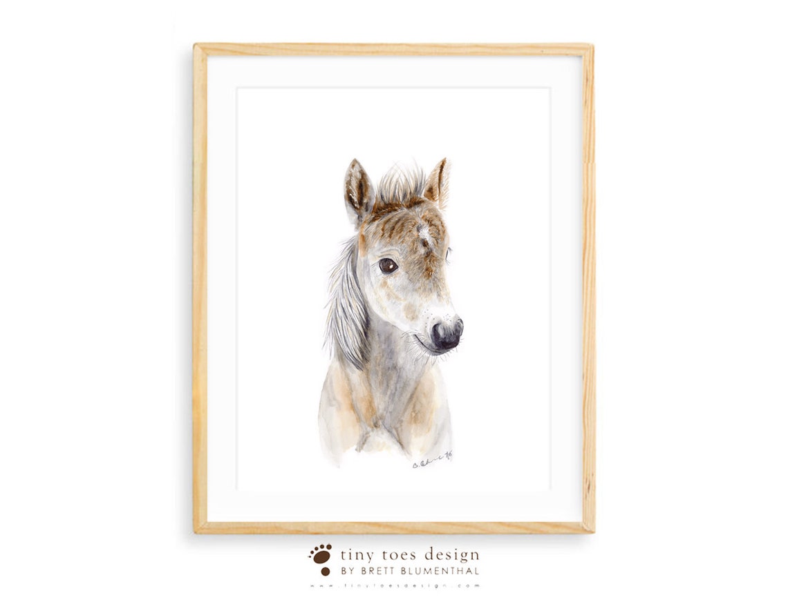 Horse Print Baby Animal Print Pony Nursery Art Farm Nursery - Etsy