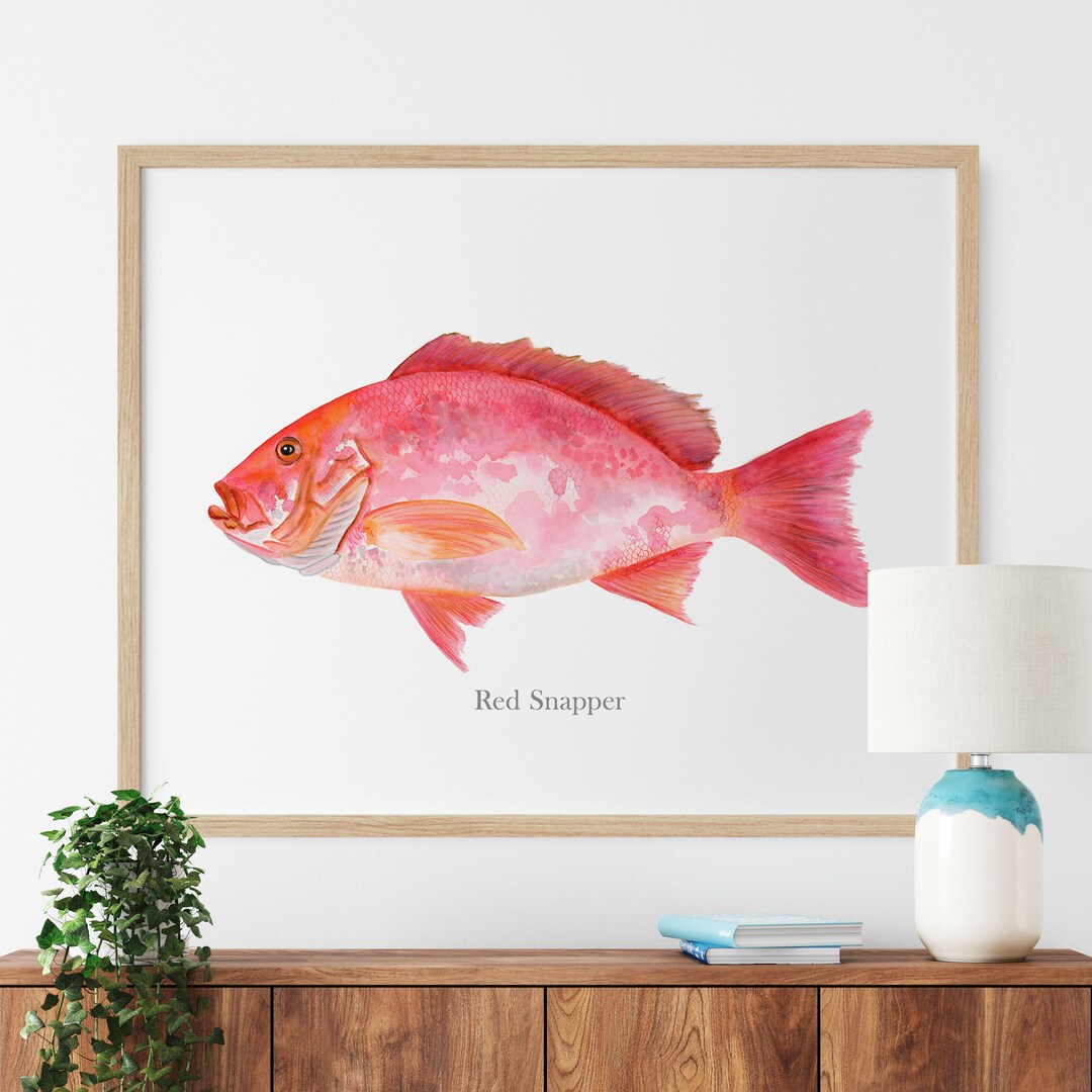 Red Snapper Wall Art, Red Snapper Print, Fish Watercolor, Gift for ...
