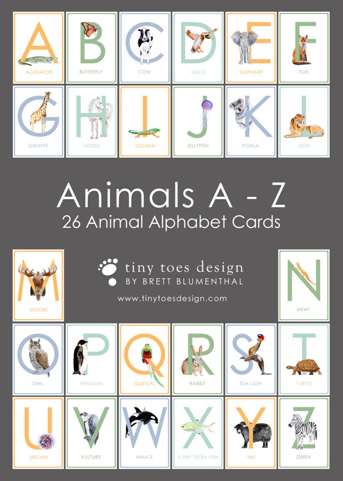 Lettres de l'alphabet à imprimer, alphabet des animaux, cartes flash ...
