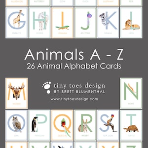 Printable Alphabet Letters, Animal Alphabet, Printable Flash Cards ...