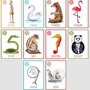 Alphabet and Numbers - Printable Flash Cards - ABC and 123 Wall Cards ...
