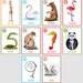 Alphabet and Numbers - Printable Flash Cards - ABC and 123 Wall Cards ...