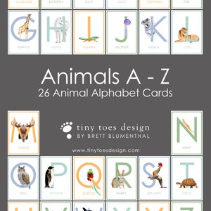 French Alphabet - Children's Wall Cards - Printable PDF Download 5x7 ...