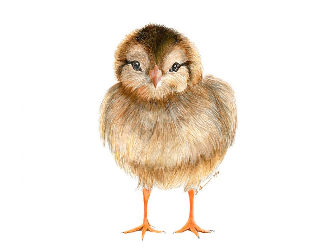 Baby Chicken Art Farm Animal Prints Nursery Decor Baby Chick Print ...